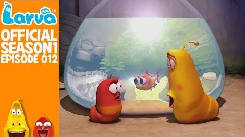 Aquarium | Larva animation Wiki | Fandom