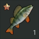 Perch | Last Day on Earth: Survival Wiki | Fandom