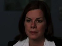 Marcia Gay Harden | Law and Order | Fandom