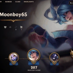 Summoner profile | League of Legends Wiki | Fandom
