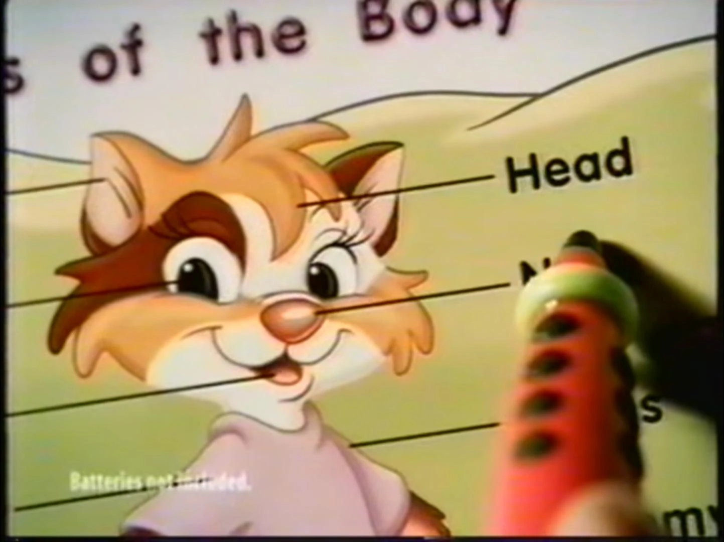 Casey Cat | Leapipedia Wiki | Fandom