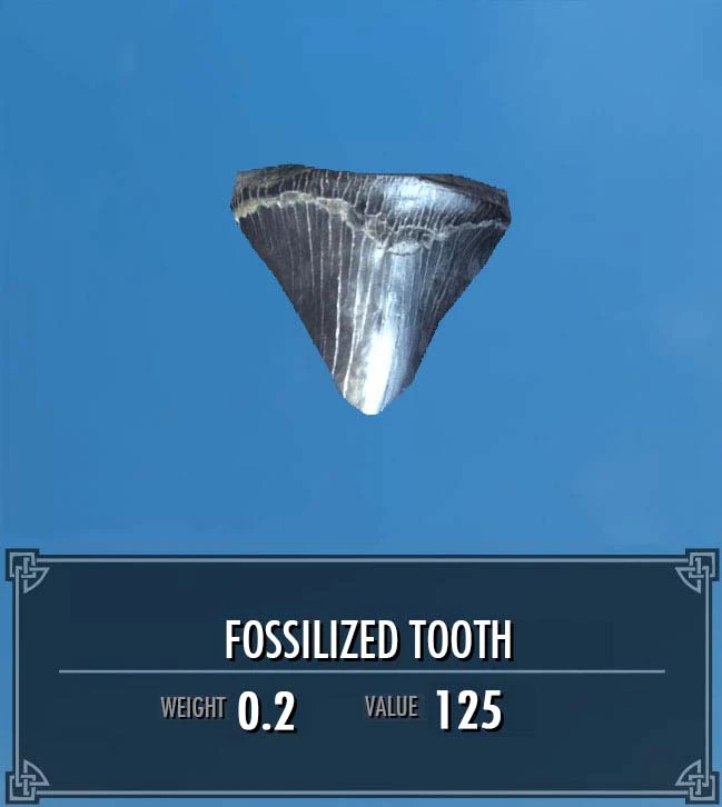 Fossilized Tooth | Legacy of the Dragonborn | Fandom