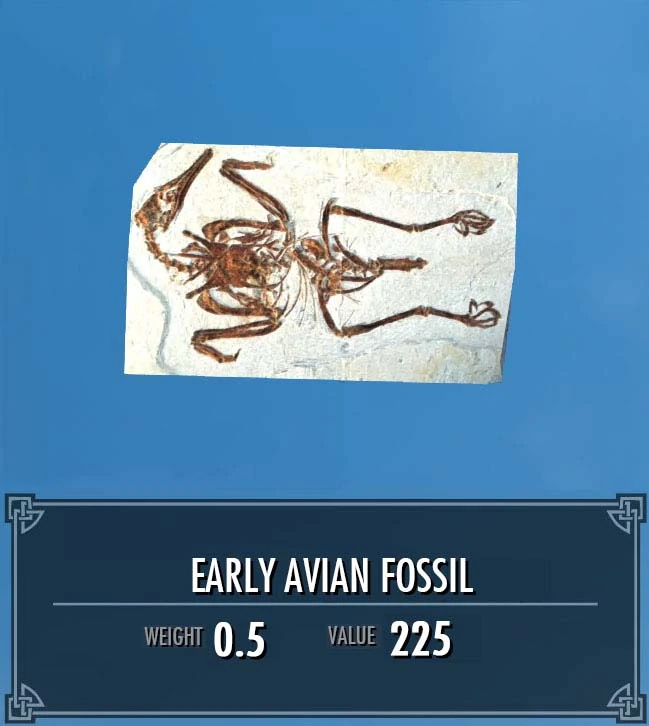 Early Avian Fossil | Legacy of the Dragonborn | Fandom