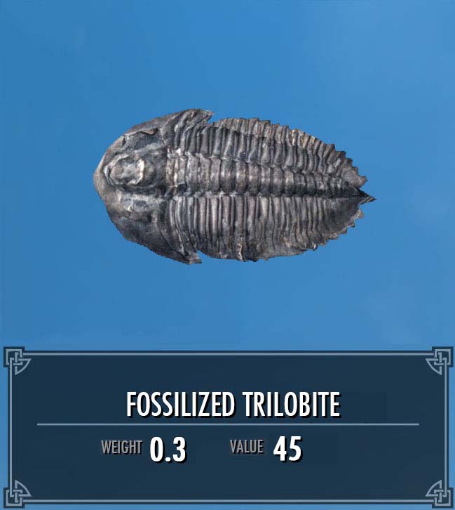 Fossilized Trilobite Legacy Of The Dragonborn Fandom