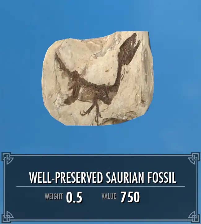 Well Preserved Saurian Fossil Legacy Of The Dragonborn Fandom