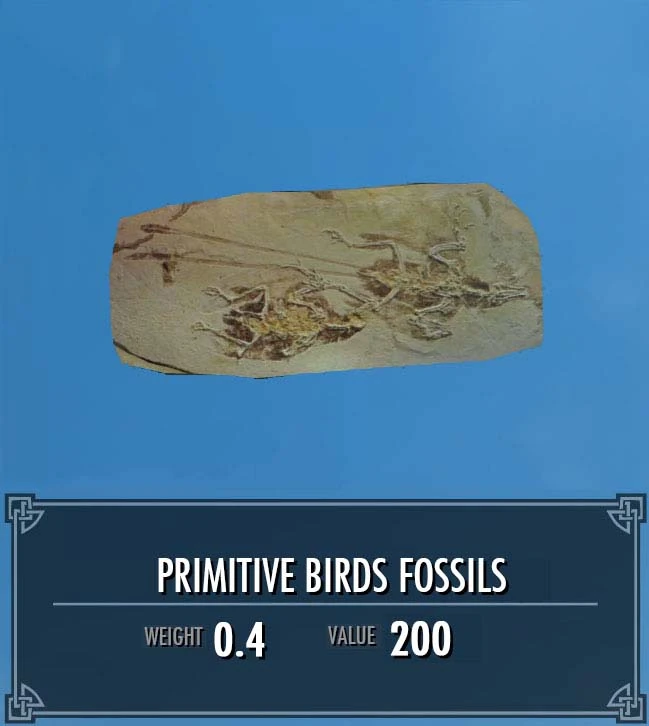Primitive Birds Fossils | Legacy of the Dragonborn | Fandom