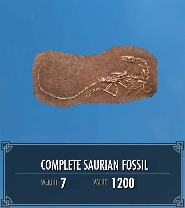 Complete Saurian Fossil Legacy Of The Dragonborn Fandom