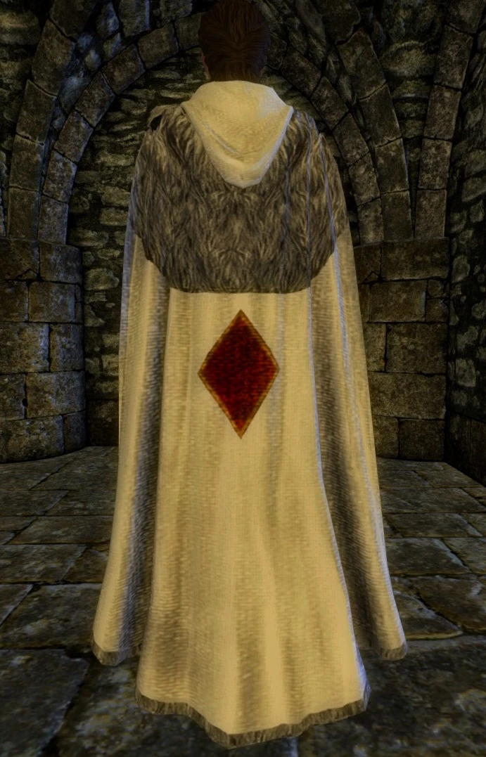 Cloak of the Northern Paladin | Legacy of the Dragonborn | Fandom