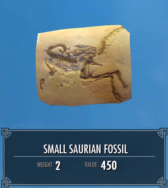 Small Saurian Fossil Legacy Of The Dragonborn Fandom