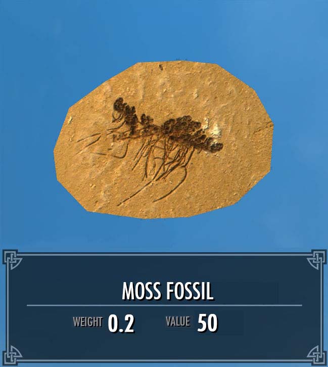 Moss Fossil Legacy Of The Dragonborn Fandom