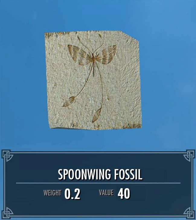 Spoonwing Fossil | Legacy of the Dragonborn | Fandom