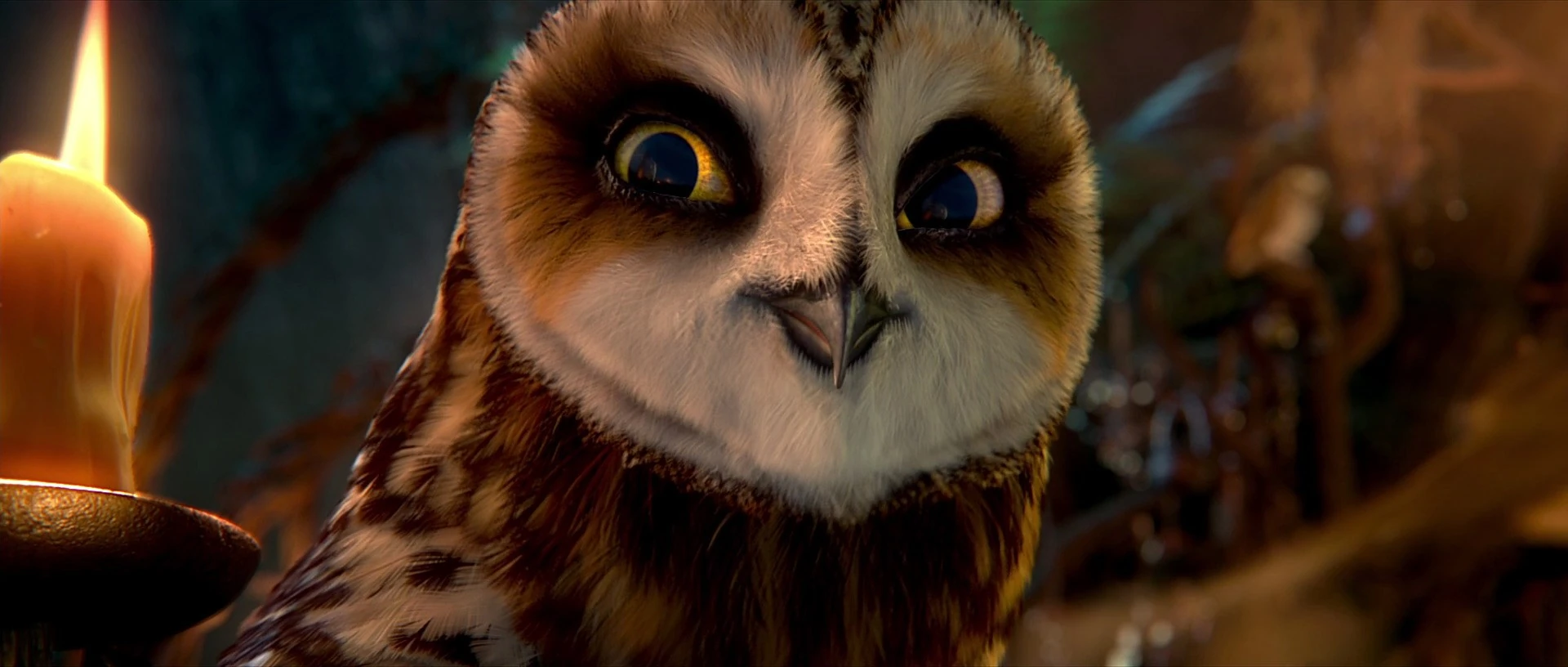 Otulissa/Gallery | Legend of the Guardians owls of Gahoole Wiki | Fandom