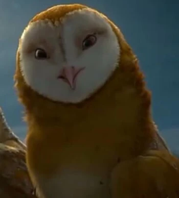 Marella | Legend of the Guardians owls of Gahoole Wiki | Fandom