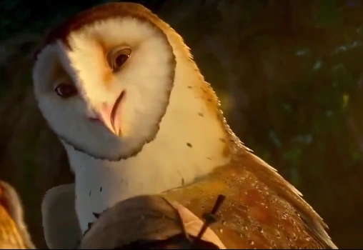 Noctus | Legend of the Guardians owls of Gahoole Wiki | Fandom