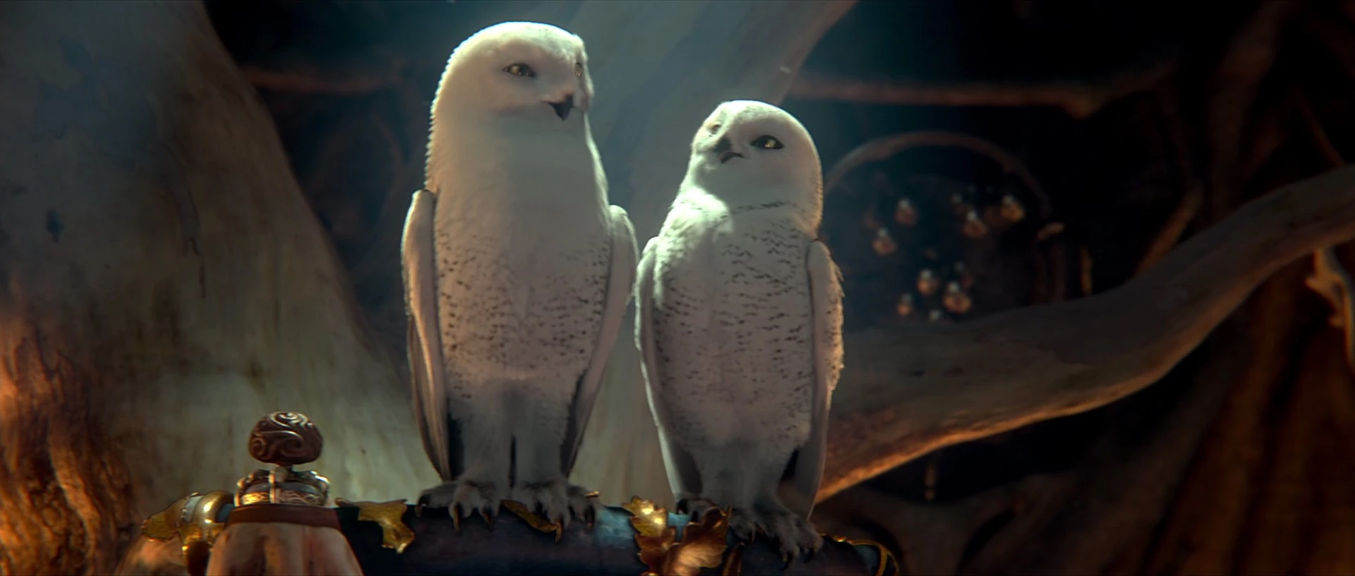 Snowy Owl | Legend of the Guardians owls of Gahoole Wiki | Fandom