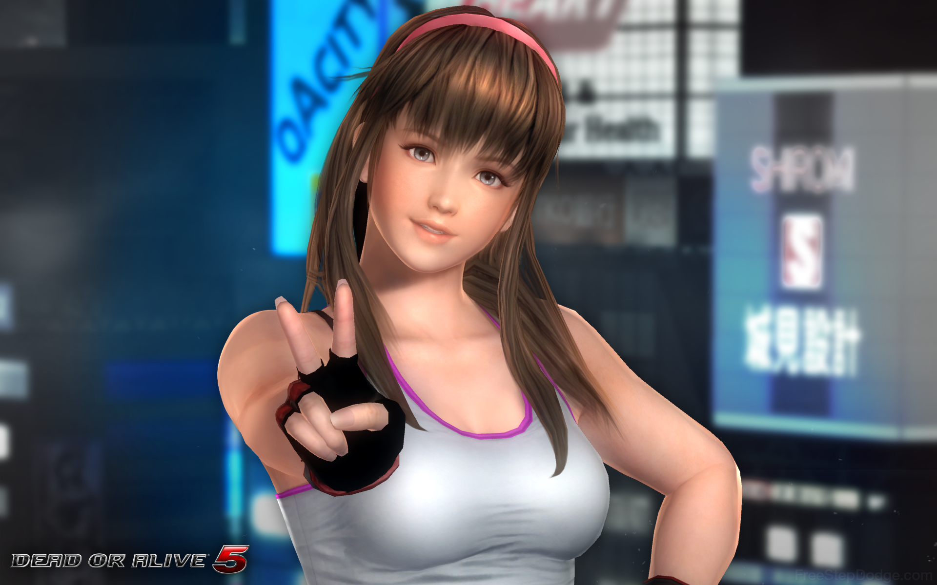 Hitomi Dead Or Alive Legends Of The Multi Universe Wiki Fandom