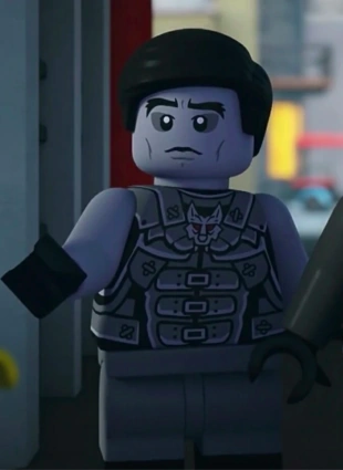 Shadow | Lego Ninjago Wiki | Fandom