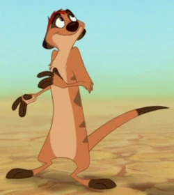 Timon | Leijonakuningas Wikia | Fandom