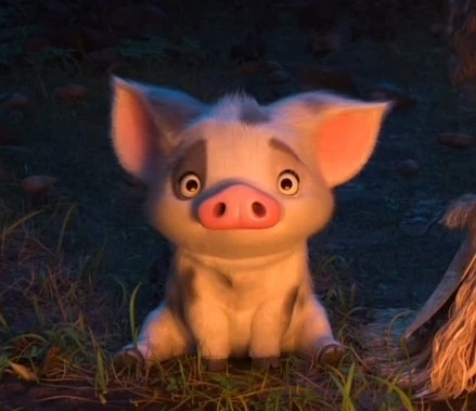 Pua | Disney Wiki | Fandom