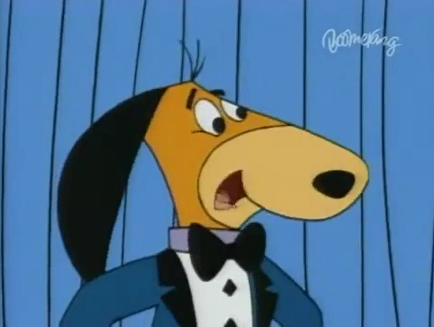 Doggie Daddy | Leonardo's Ideas community | Fandom