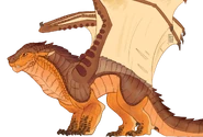 Argil | Wikia Les Royaumes de Feu | Fandom