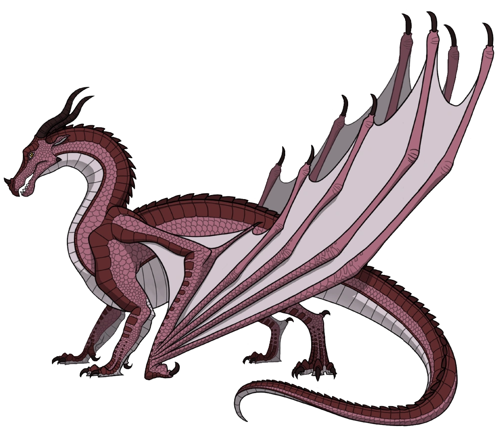 Balbuzard | Wikia Les Royaumes de Feu | Fandom