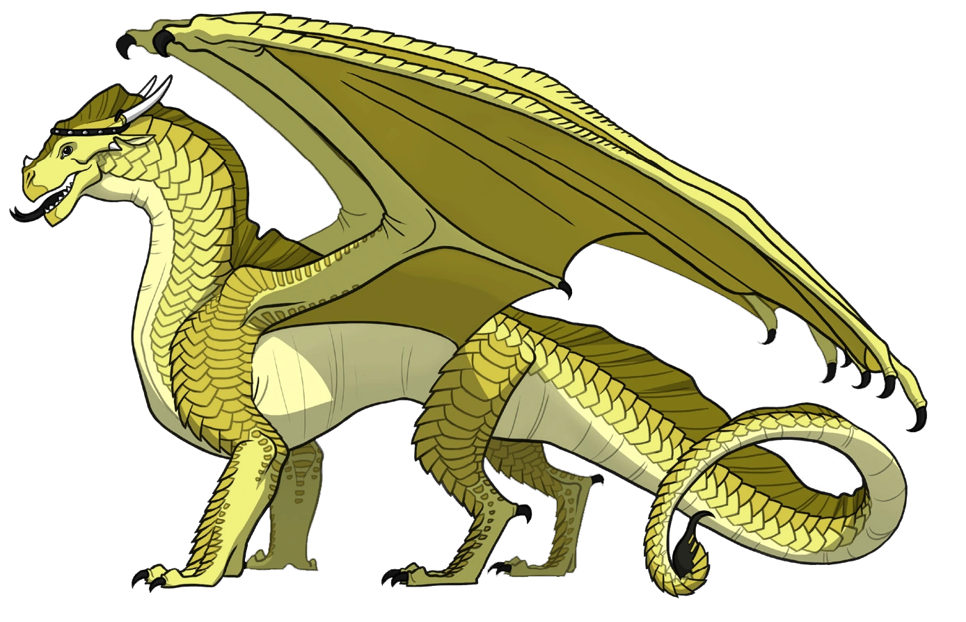 Oasis | Wikia Les Royaumes de Feu | Fandom