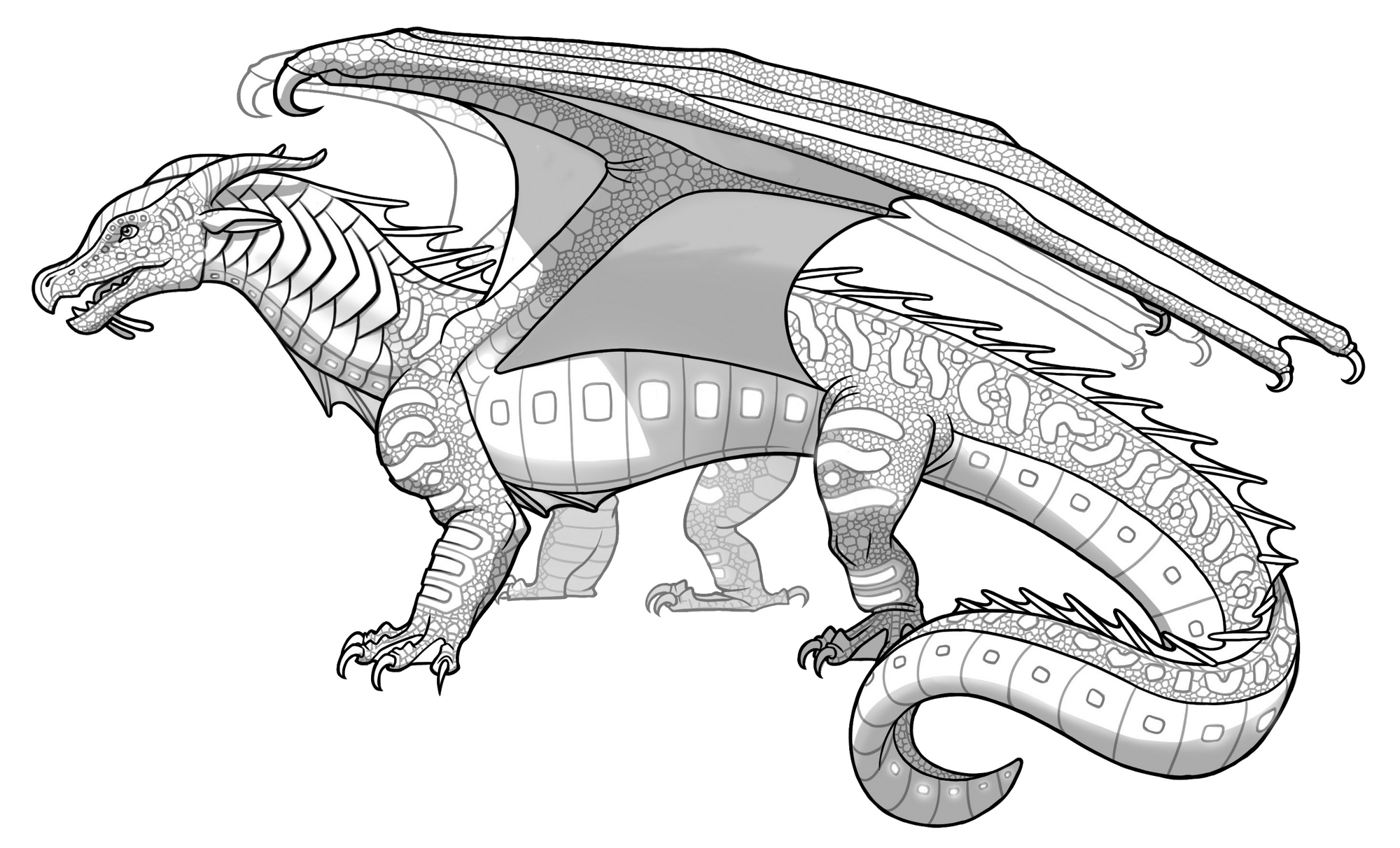 Ailes de Mer | Wikia Les Royaumes de Feu | Fandom