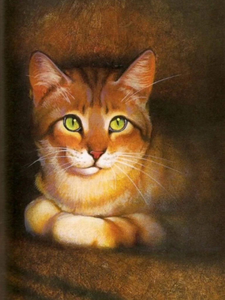 Étoile Balafrée | Wiki La guerre des Clans | Fandom