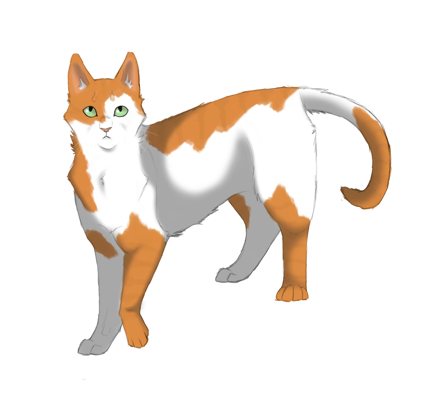Image - Chat blanc et roux.png | Wiki La guerre des Clans | FANDOM ...