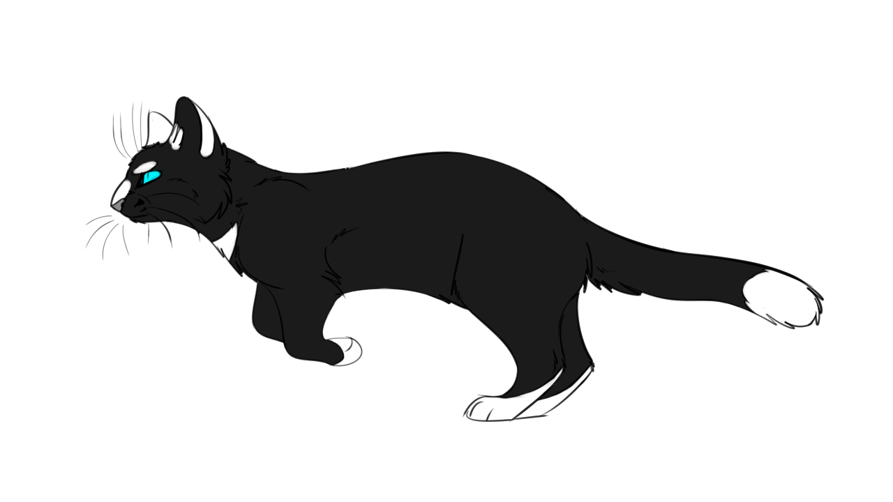 Image Cat Run Cycle Animation By Scourgebih D928dh2 Wiki La Guerre Des Clans Fandom