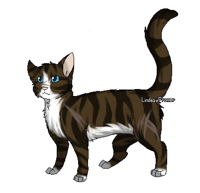 Plume de Faucon | Wiki La guerre des Clans | FANDOM powered by Wikia