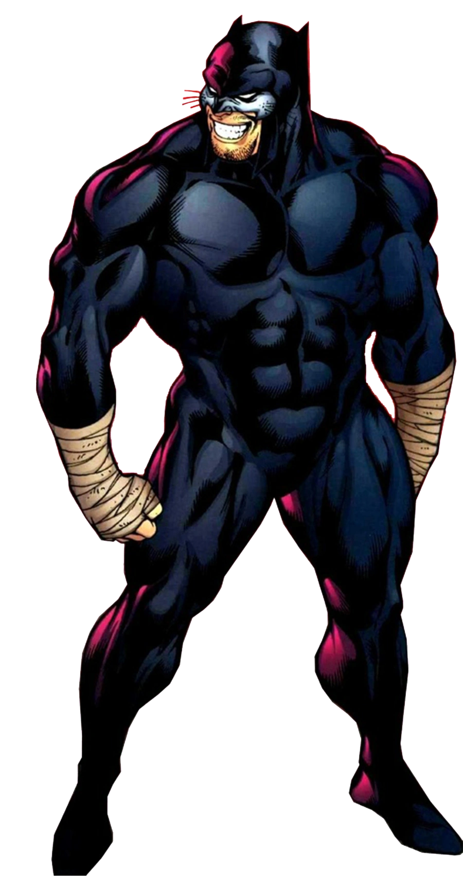 Pantera (DC Comics) | Wikia Liber Proeliis | Fandom