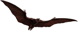 Rodan (MonsterVerse) | Wikia Liber Proeliis | Fandom