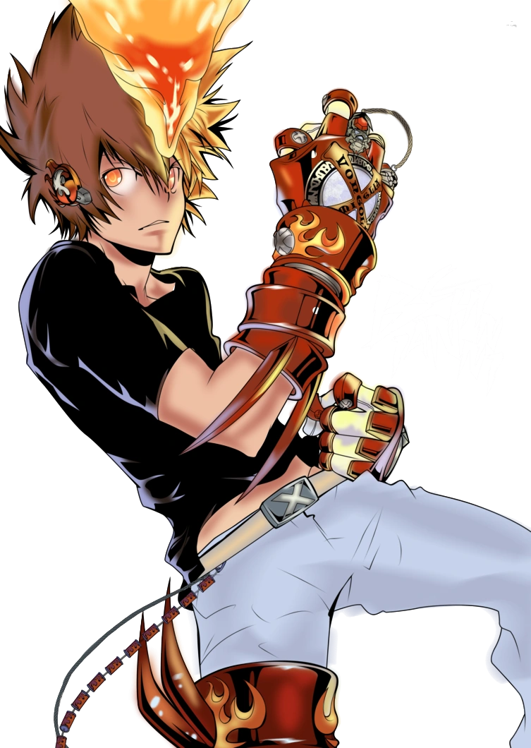 Tsunayoshi Sawada | Wikia Liber Proeliis | Fandom