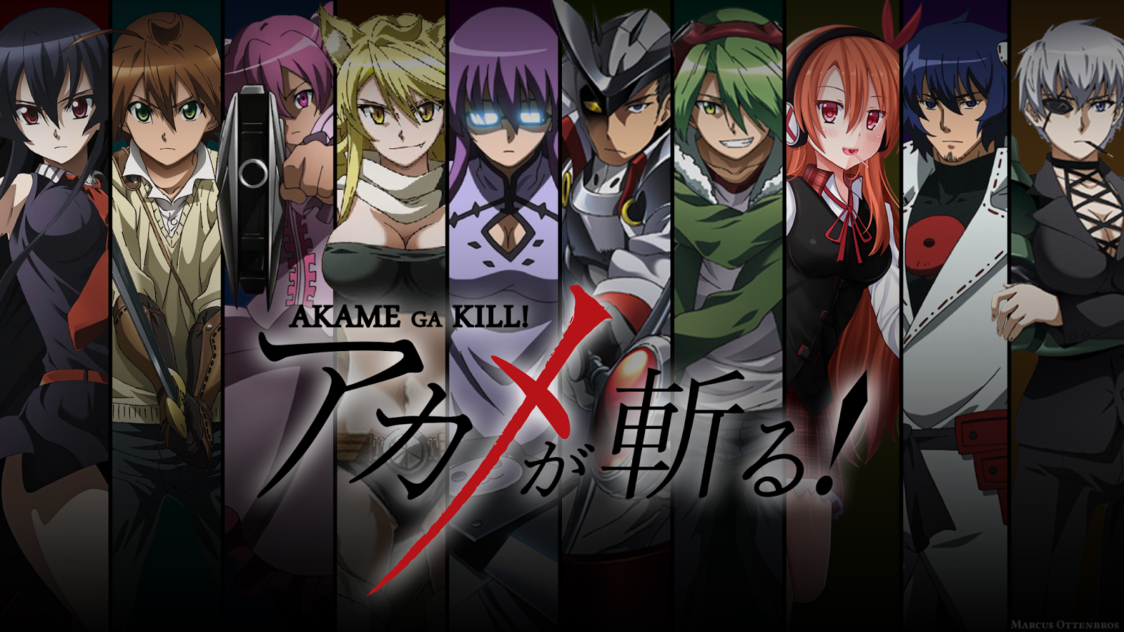 Akame Ga Kill Wikia Liber Proeliis Fandom Powered By Wikia