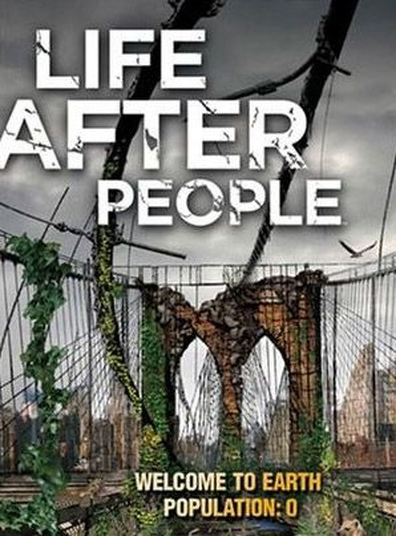 Discuss Everything About Life After People Wiki | Fandom