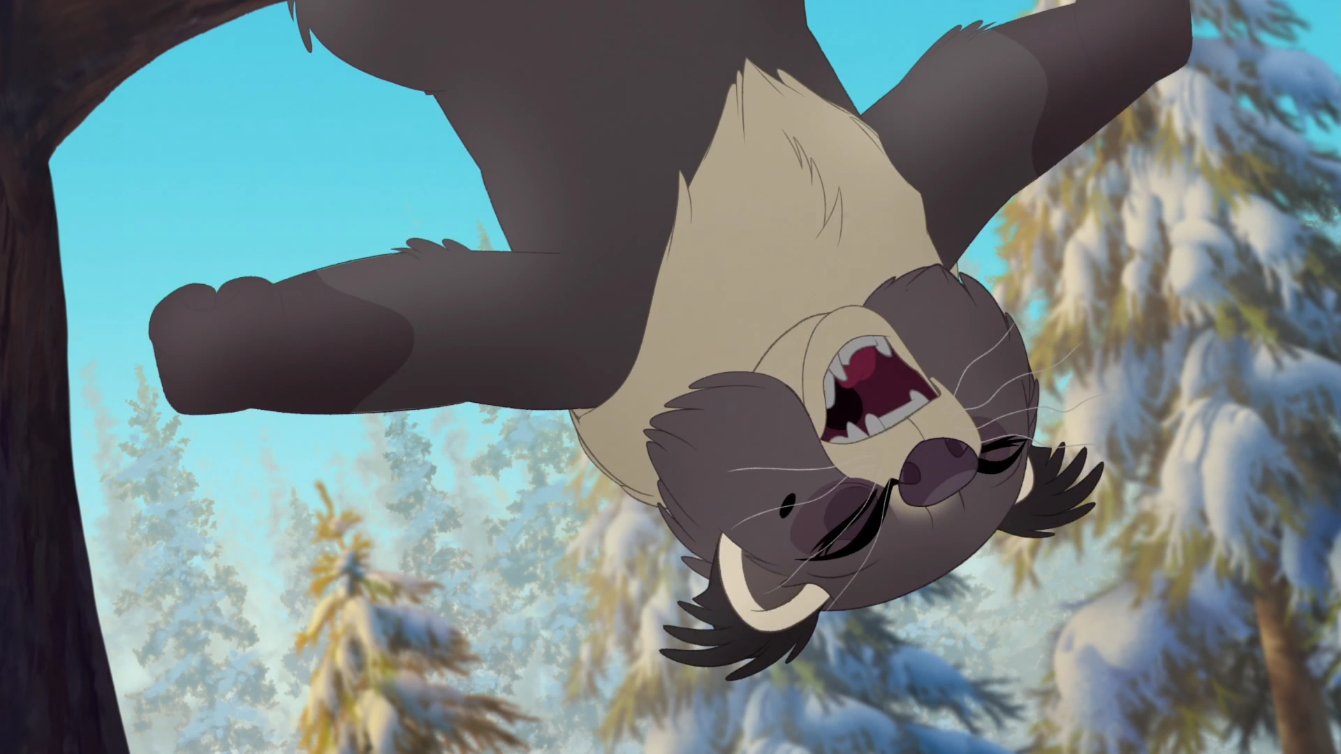 Mama Binturong (character)/Gallery/Little Old Ginterbong | The Lion ...