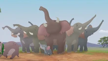 Elephants | The Lion Guard Wiki | Fandom