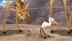 Shingo/Relationships | The Lion Guard Wiki | Fandom