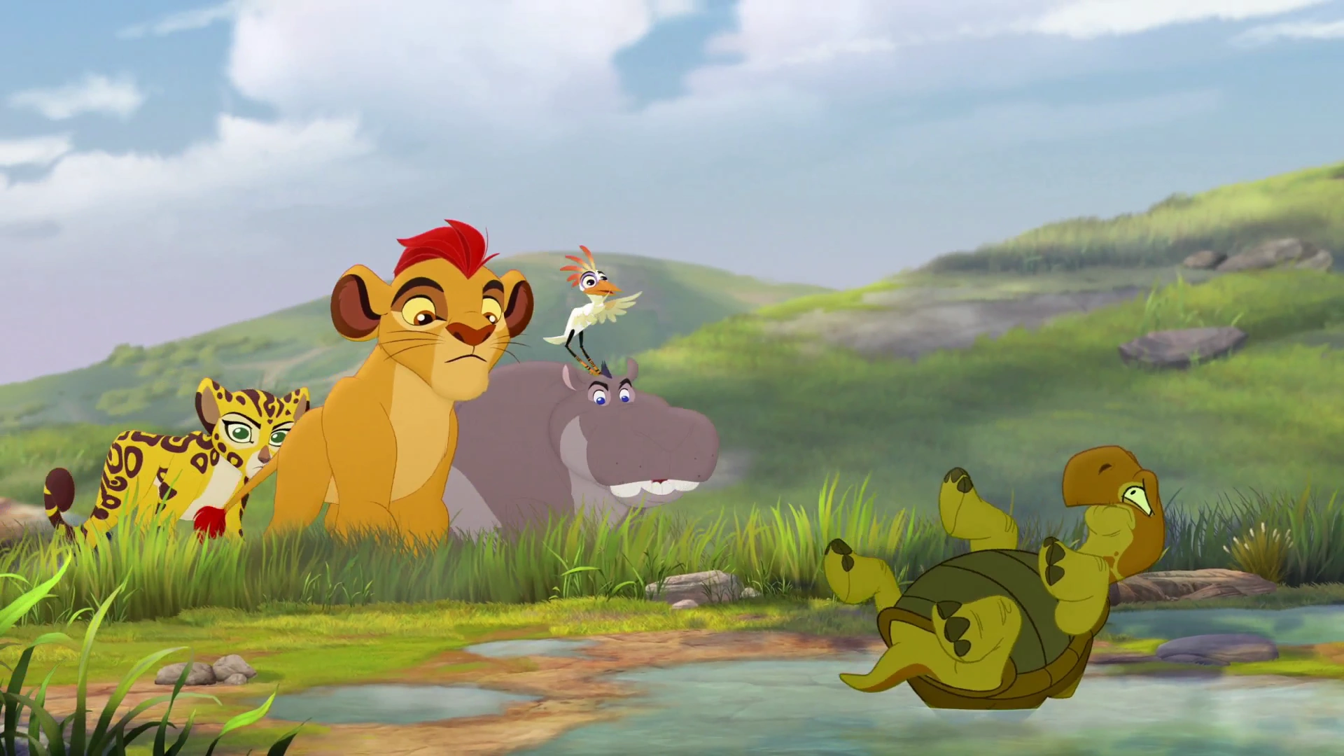 Male Turtle/Gallery/Bunga the Wise | The Lion Guard Wiki | Fandom