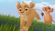 Zuri/Gallery/Fuli's New Family | The Lion Guard Wiki | Fandom