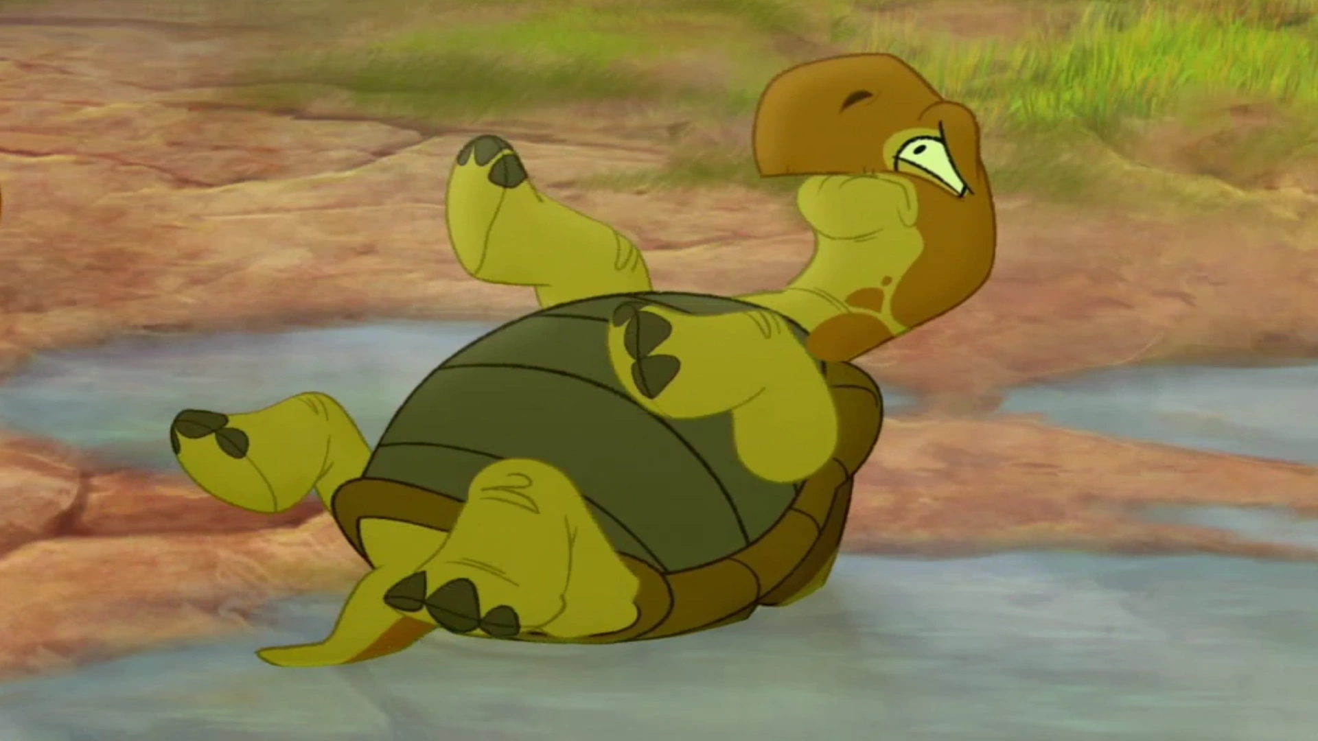 Male Turtle/Appearances | The Lion Guard Wiki | Fandom