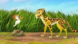 Fuli/Relationships | The Lion Guard Wiki | Fandom
