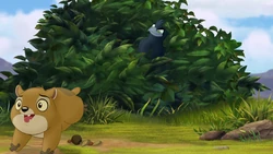 Tamaa/Relationships | The Lion Guard Wiki | Fandom