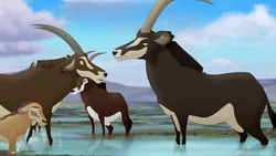 Bupu/Relationships | The Lion Guard Wiki | Fandom