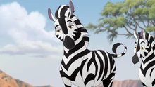 Thurston | The Lion Guard Wiki | Fandom