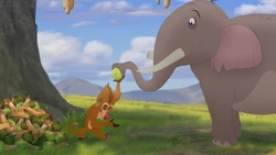 Ma Tembo/Relationships | The Lion Guard Wiki | Fandom