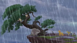 Bunga the Wise | The Lion King Wiki | Fandom