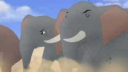 Zito | The Lion King Wiki | Fandom